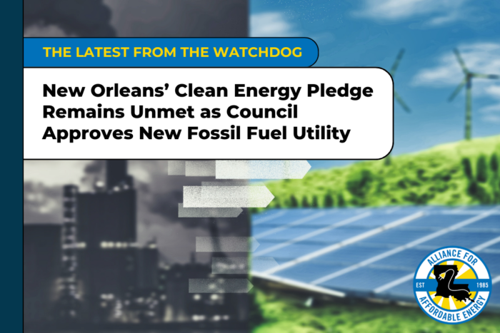 New Orleans’ Clean Energy Pledge Remains Unmet as Council Approves New ...