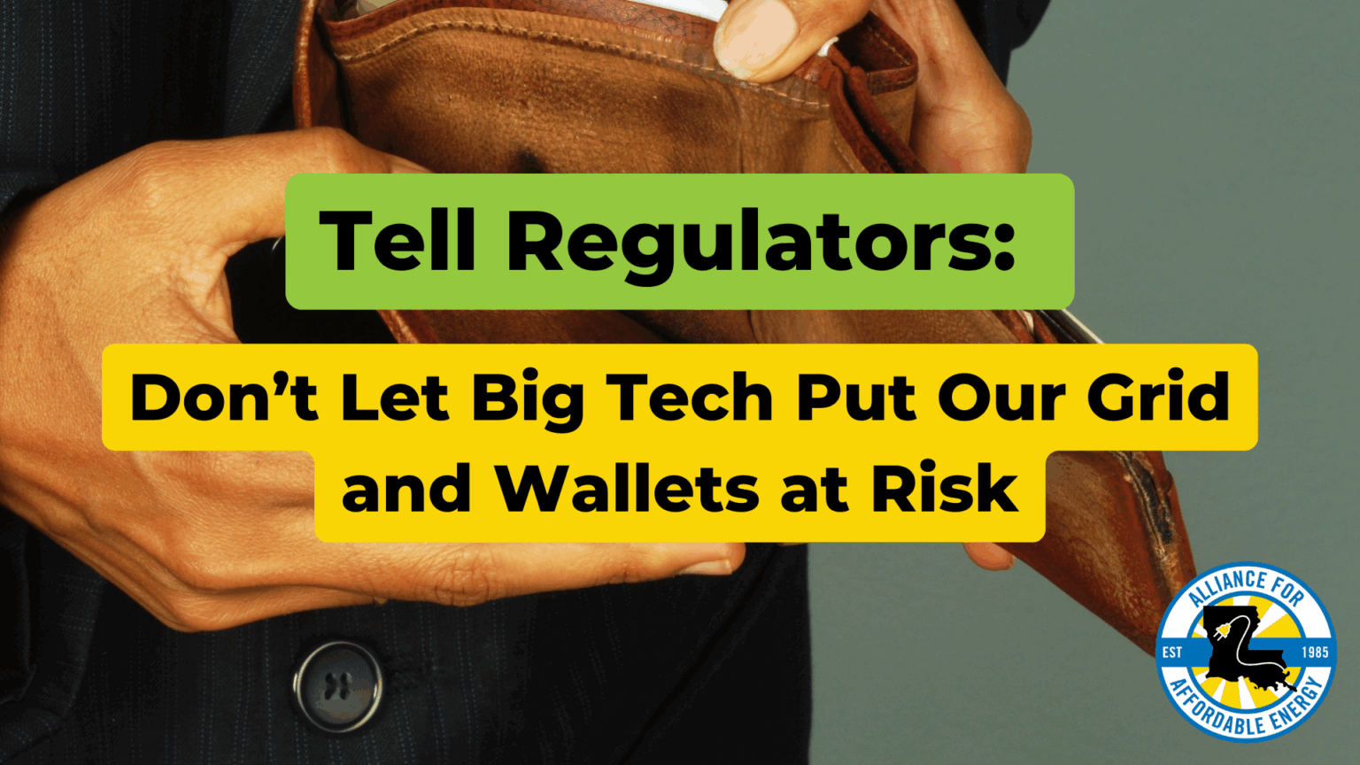 Tell Regulators: Don’t Let Big Tech Put Our Grid & Wallets at Risk - AAE - Alliance for ...